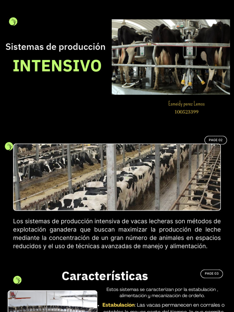 Sistemas de Producción Intensiva de Leche | PDF | Vacas | Ganadería ...
