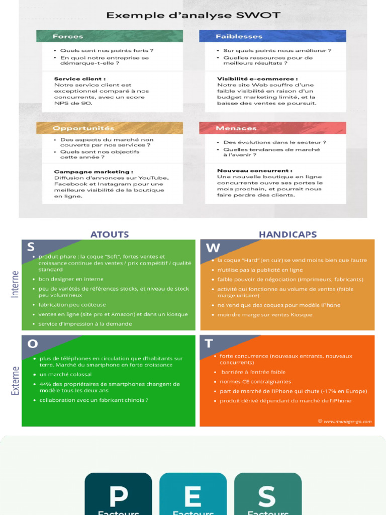 Swot Et Pestel | PDF