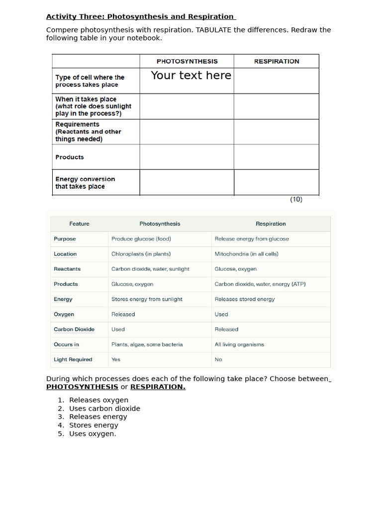 Activity Three Photosynthesis and Respiration | PDF