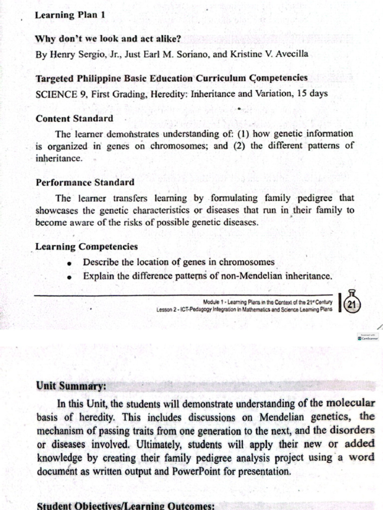 Learning Plans | PDF