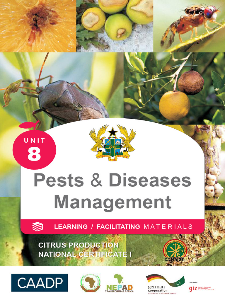Citrus Pest and Disease Management Guide | PDF | Pest (Organism) | Pest ...