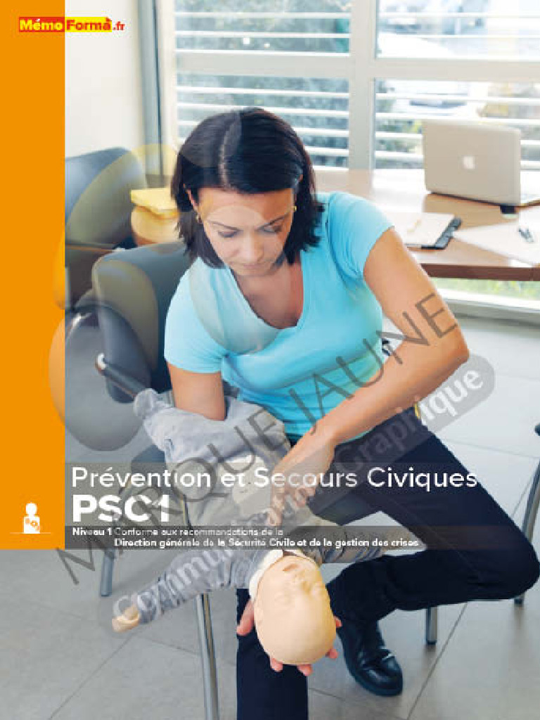 Web_PSC1 | PDF
