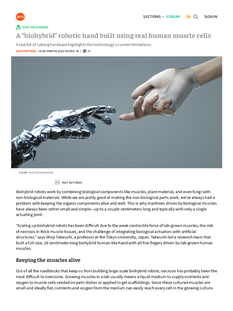 Biohybrid Robotic Hand with Human Muscles | PDF | Muscle | Muscle ...