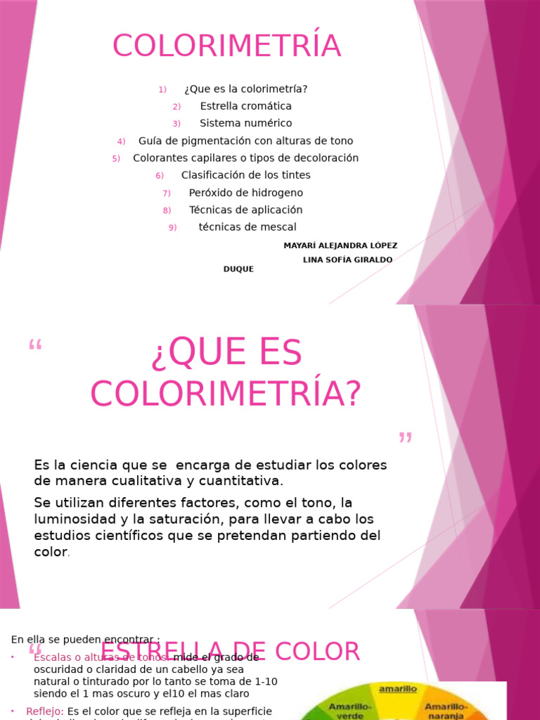 Guía Completa de Colorimetría Capilar | PDF | Color | Pelo