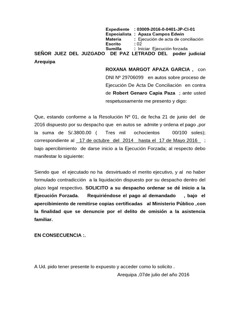 1.-Inicio de Ejecucion Forzada | PDF