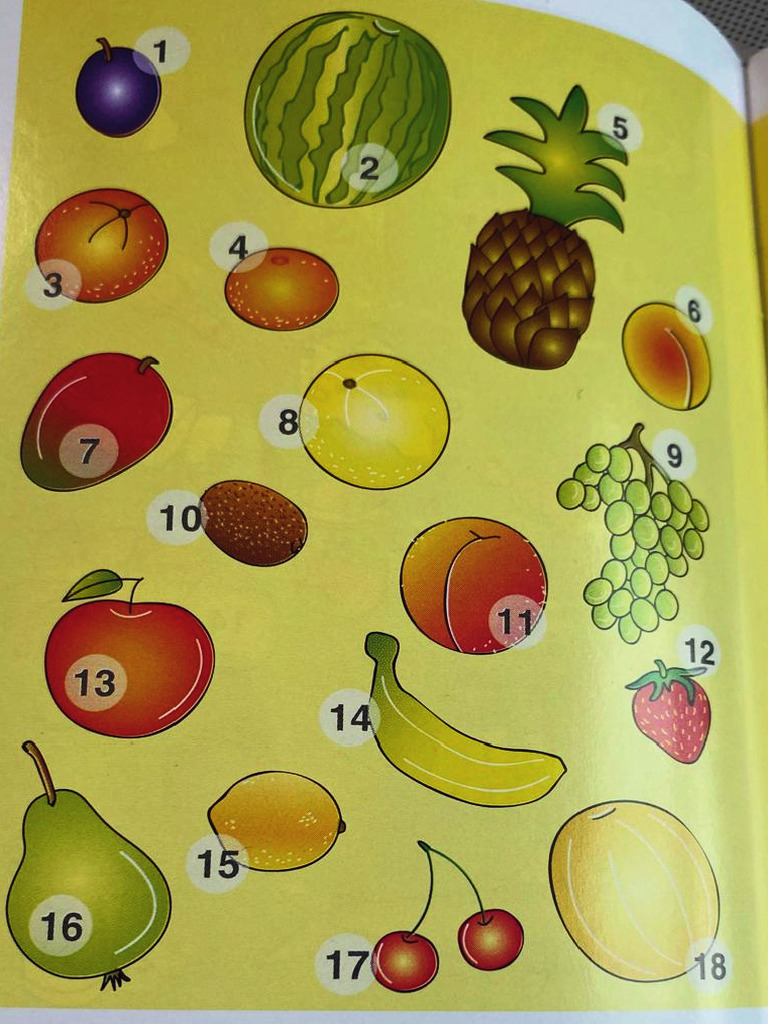 16 Autocolant Color | PDF