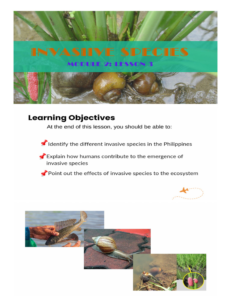 Module 2 Lesson 3 Invasive Species | PDF