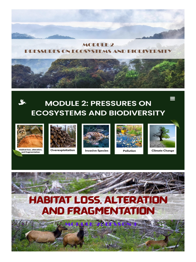 Module 2 Lesson 1 Habitat Loss Alteration and Fragmentation | PDF