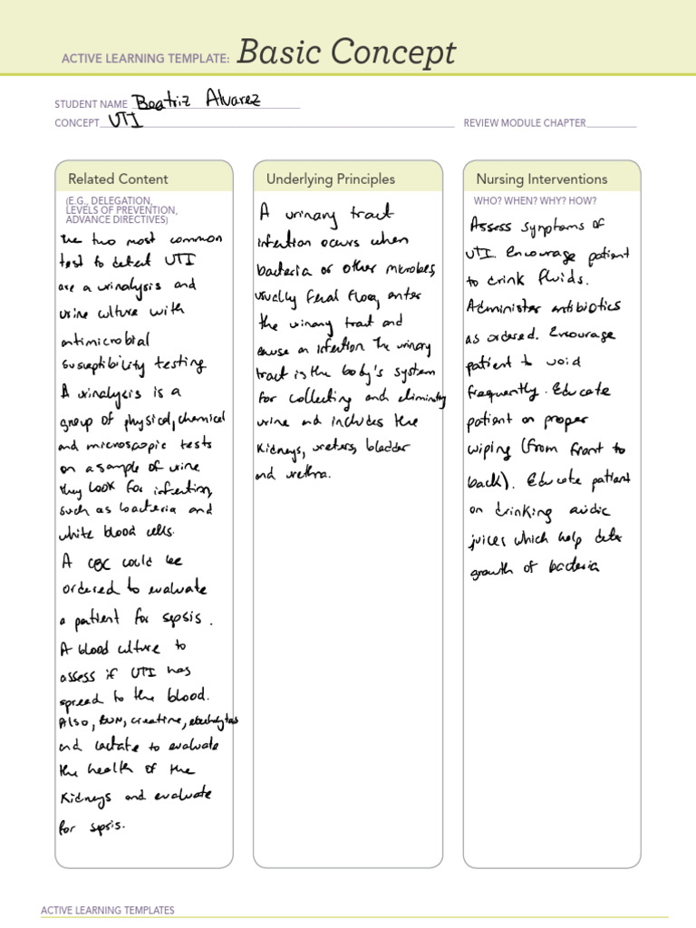 UTI Basic - Concept | PDF | Urinary Tract Infection | Surgical Specialties