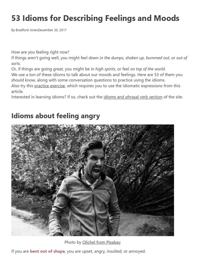 53 Idioms For Describing Feelings and Moods - Get More Vocab | PDF