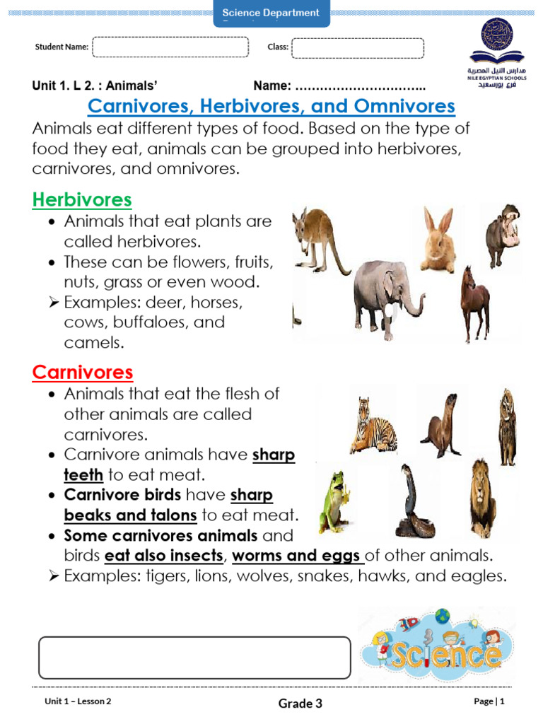 Grade 3 - Unit 1 - Lesson 2 - Final New | PDF | Foods | Herbivore