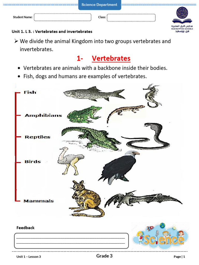 Grade 3 - Unit 1 - Lesson 3 - Final New | PDF | Invertebrate | Vertebrates