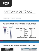Anatomía del Hilio Pulmonar | PDF | Pulmón | Aorta