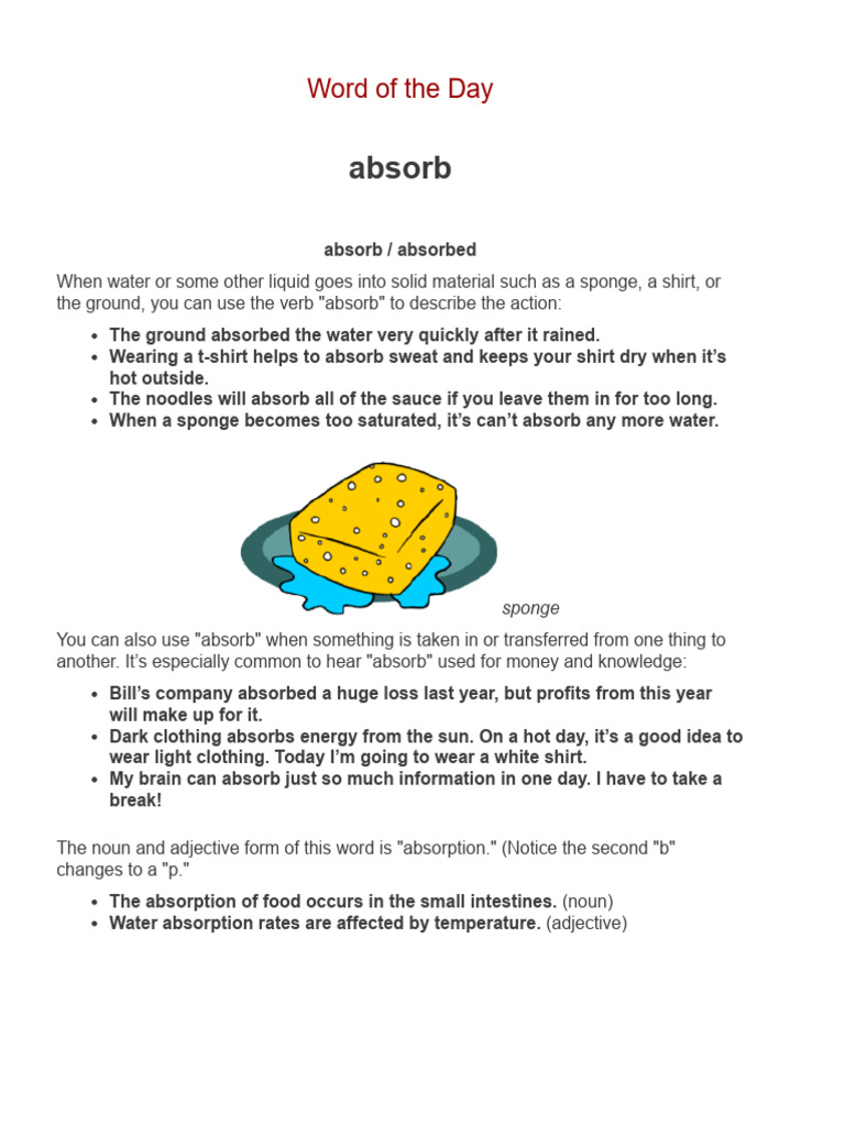 Understanding the Word "Absorb" | PDF