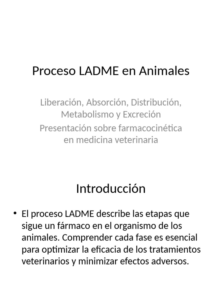 Proceso LADME | PDF