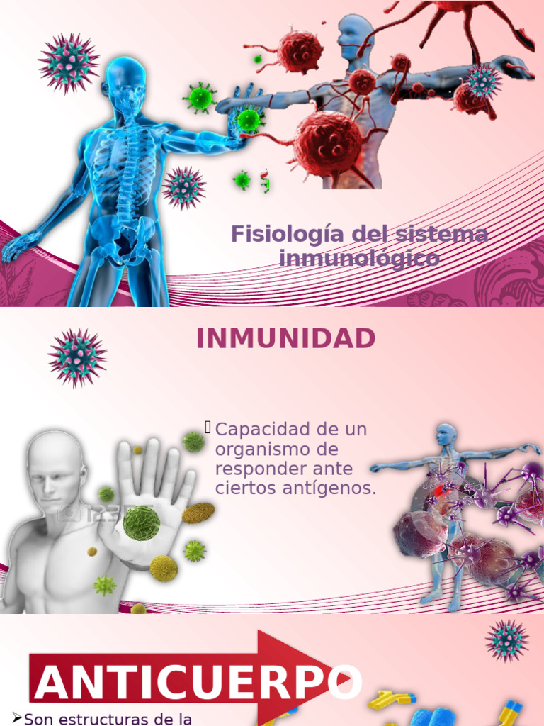 Fisiologadelsistemainmunitario 150701222200 Lva1 App6891 | PDF | Sistema inmune | Anticuerpo