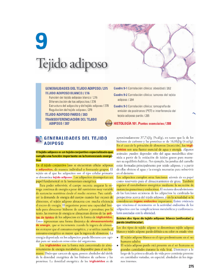 Libro Ross Resumen Tejido | PDF