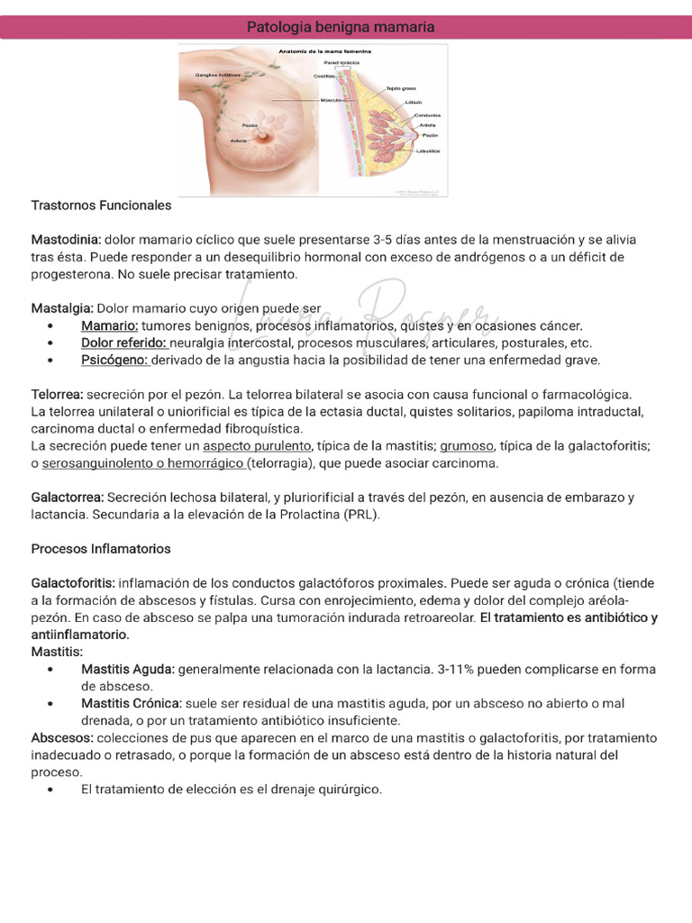 Laura Rosner Profile Overview | PDF