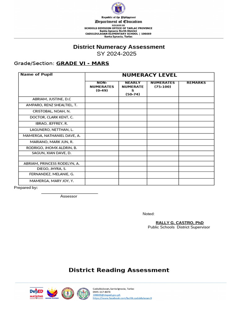 Numeracy and Literacy Template | PDF