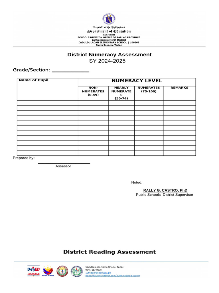 Numeracy and Literacy Template | PDF
