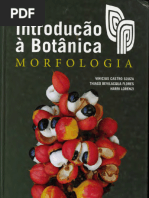 Raízes Adventícias: Exemplos e Funções | PDF | Raiz | Morfologia vegetal