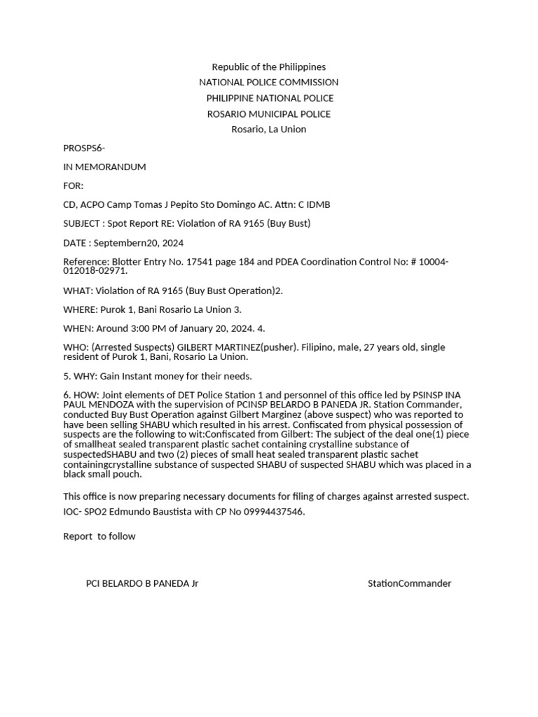 Spot Report-WPS Office | PDF