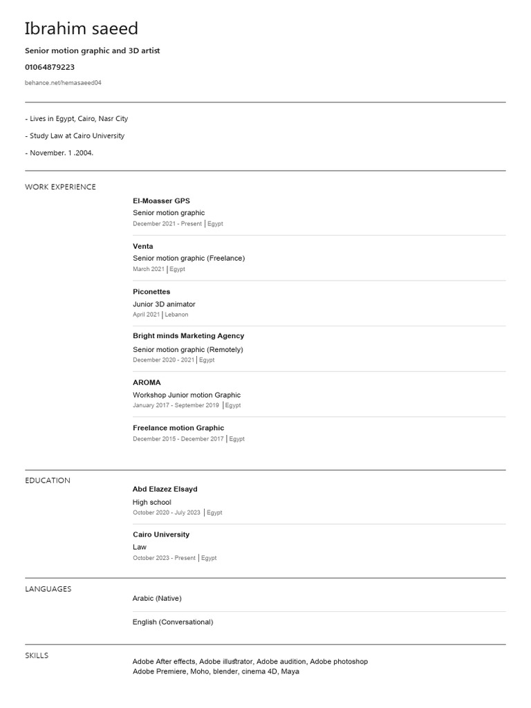 Ibrahem's CV | PDF