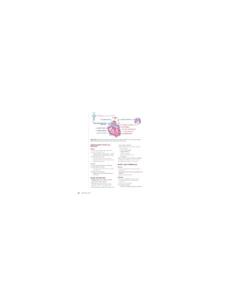 Cardiology Notes | PDF