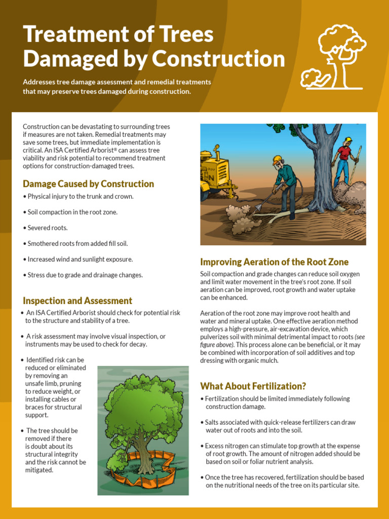 TreesAreGood - Treatment of Trees Damaged by Construction - 0721 | PDF | Mulch | Trees