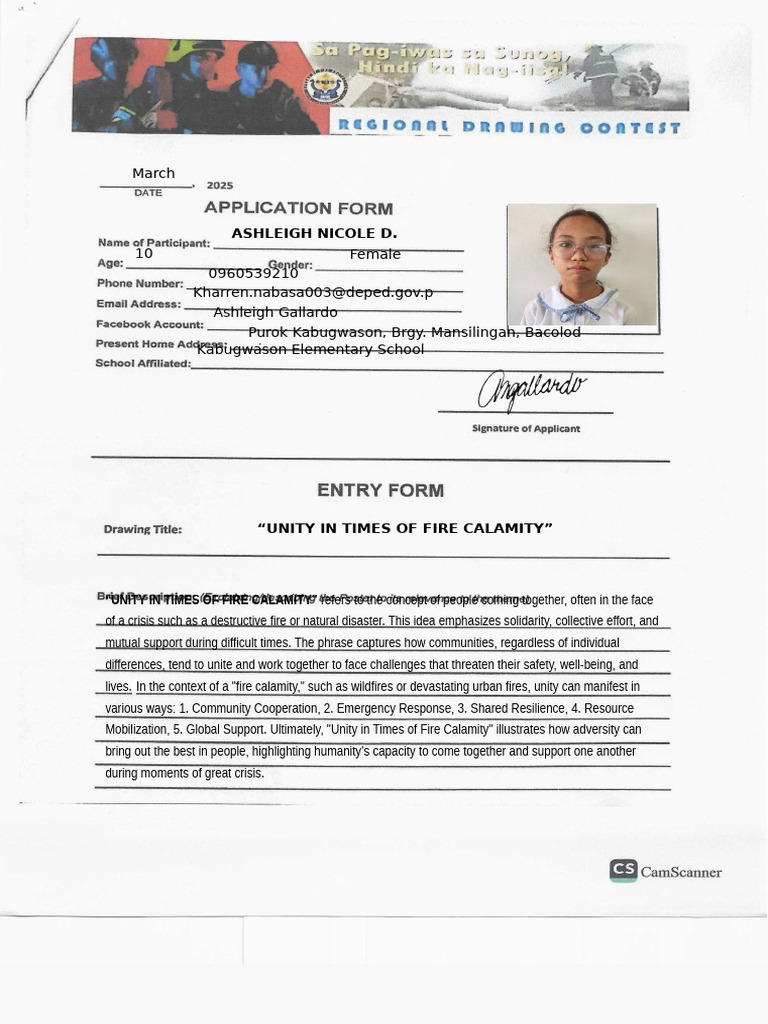 KES - SBFP Drawing Contest Entry Form | PDF