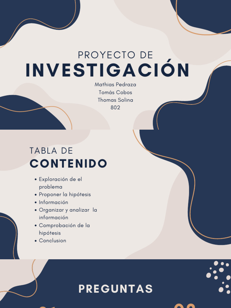 Proyecto De | PDF