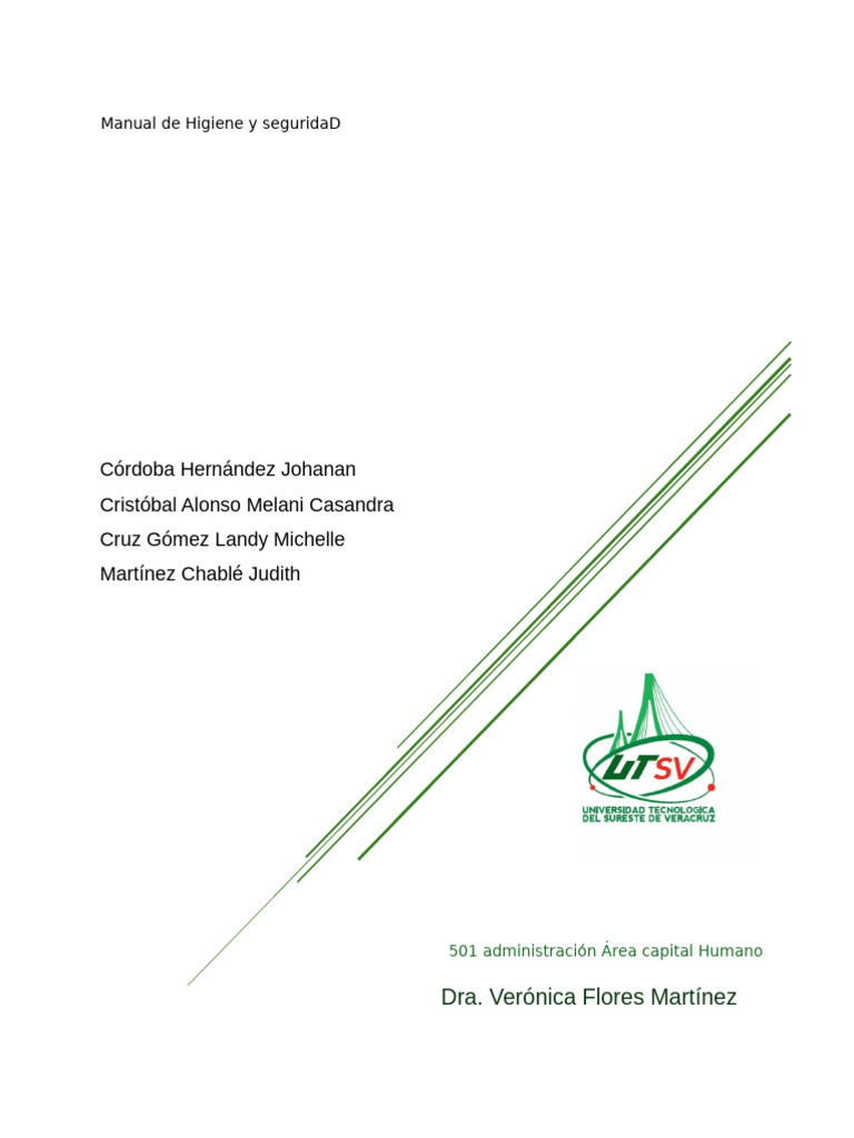 Manual de higiene y seguridad laboral | PDF | Seguridad y salud ocupacional | Valores