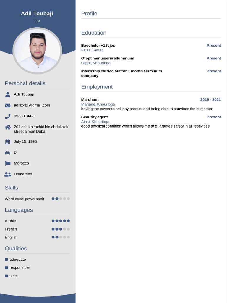 Curriculum Vitae - CVwizard.fr | PDF