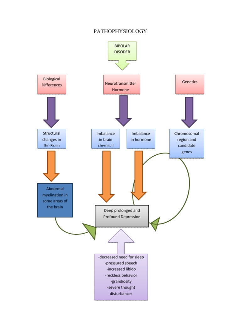 Pathophysiology Bipolar Disorder | PDF