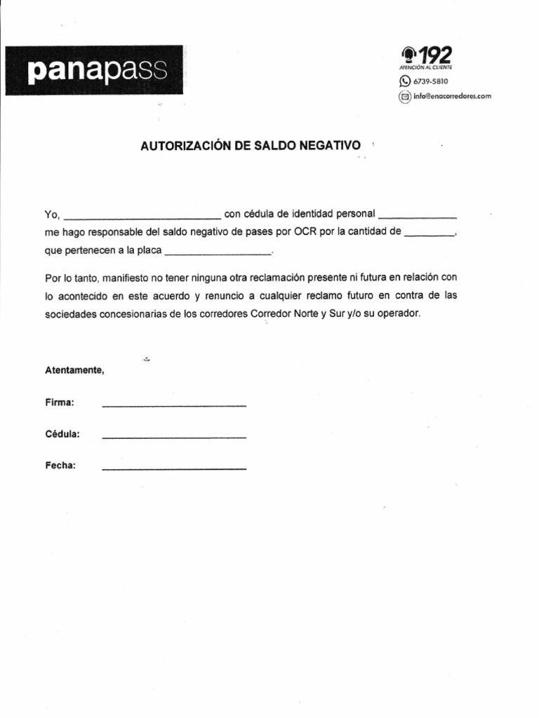 Panapass-Auth.-Form-Saldo-Negativo | PDF