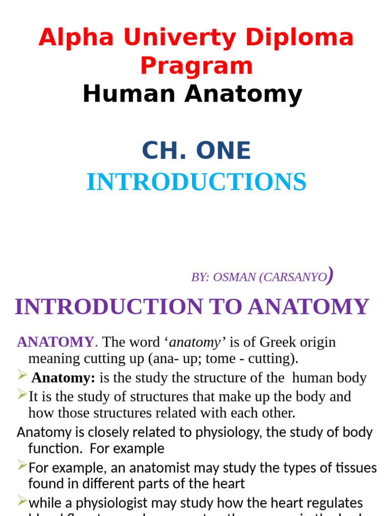 Understanding Human Anatomy Basics | PDF | Anatomical Terms Of Motion ...