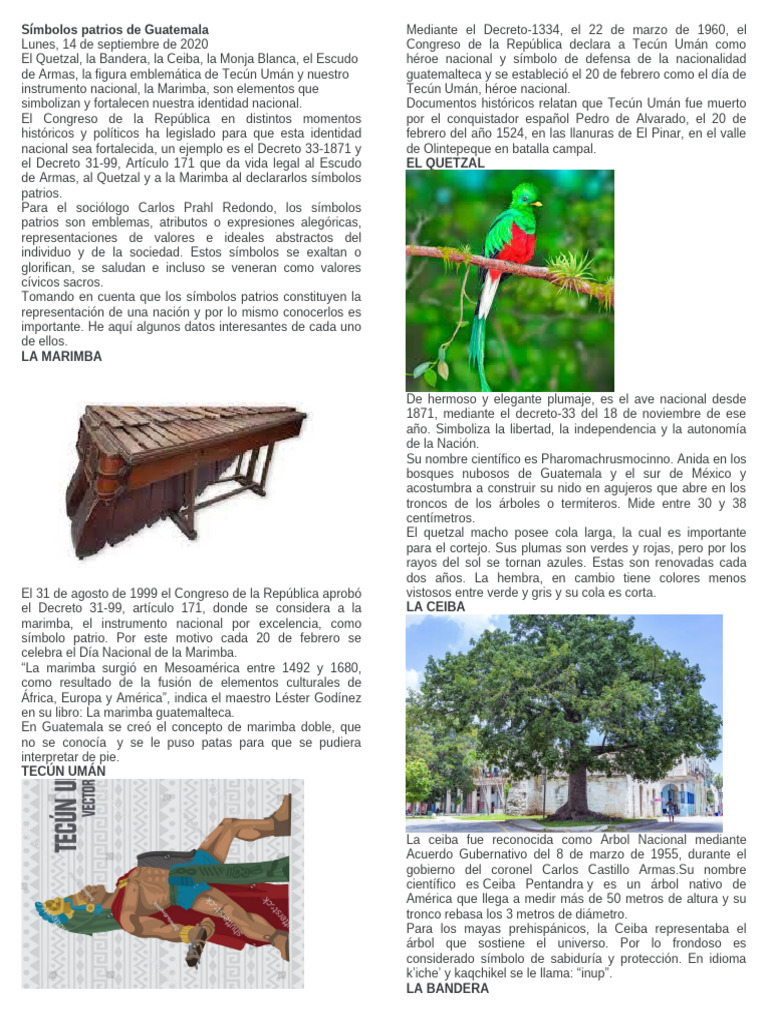 Símbolos patrios de Guatemala: Significado y Origen | PDF | Guatemala