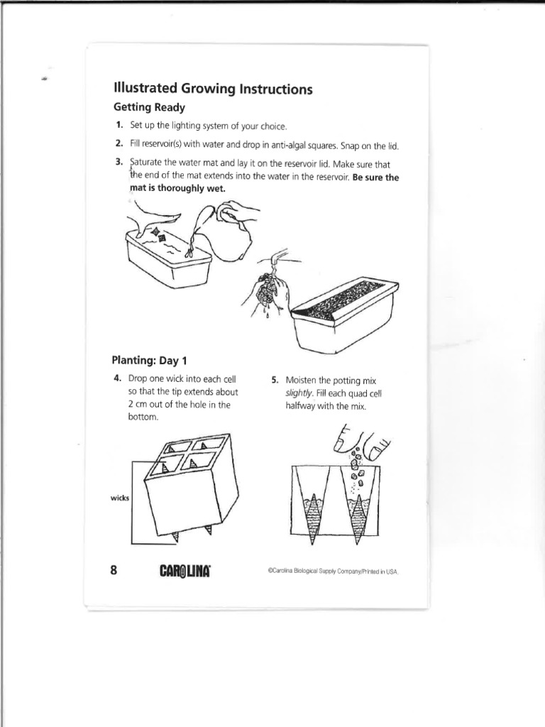 Fast Plants - Planting Instructions | PDF