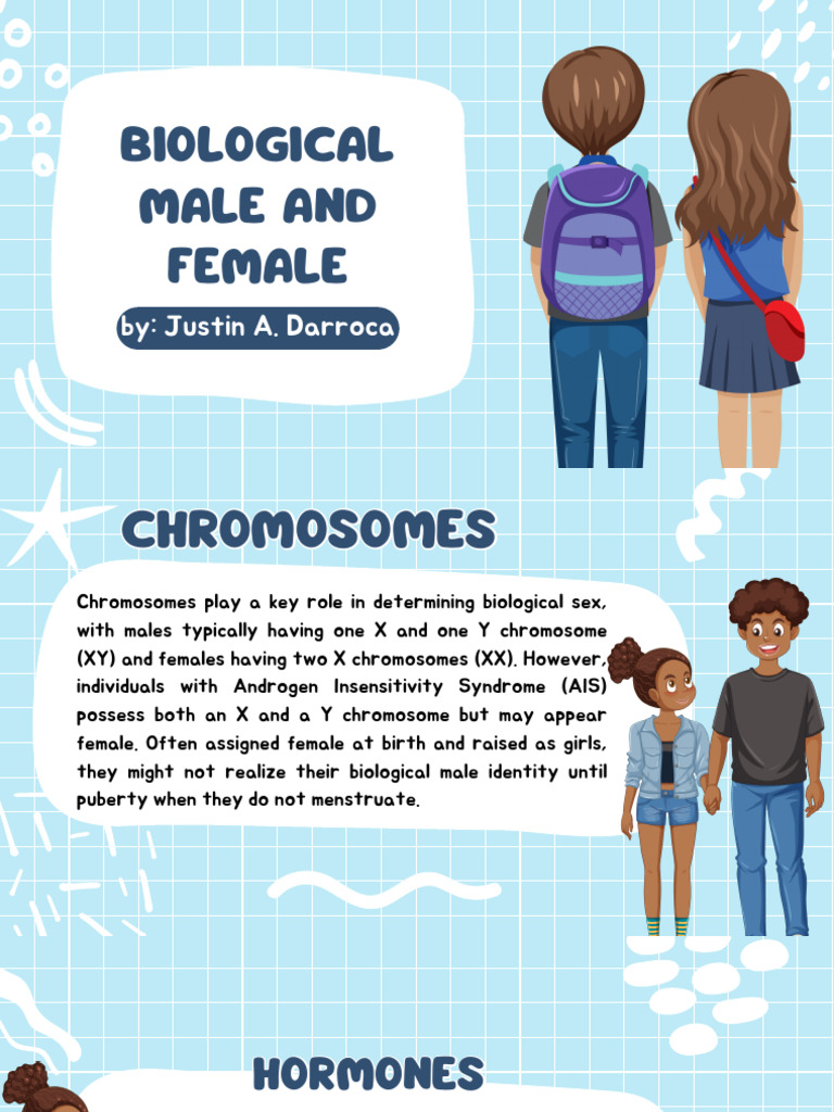 Understanding Male and Female Biology | PDF | Reproductive System | Labia
