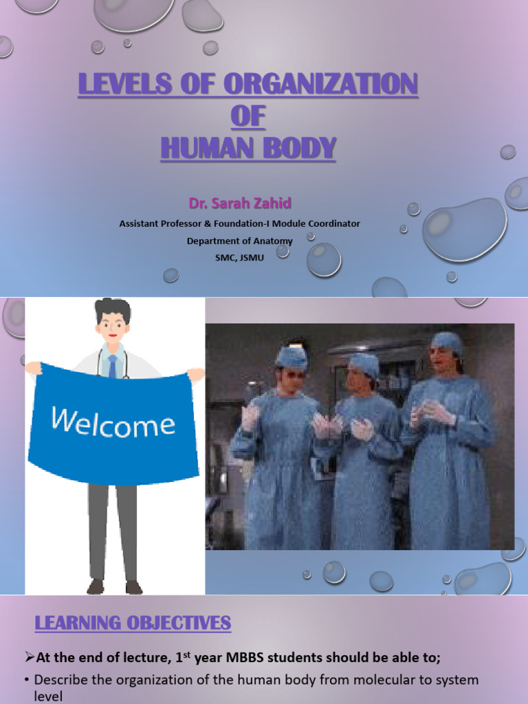 Levels of Organization in the Human Body | PDF