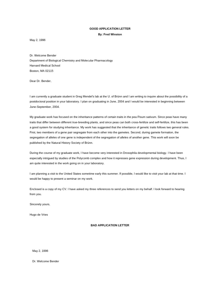 Word 2010 Format Application Letter Template | PDF