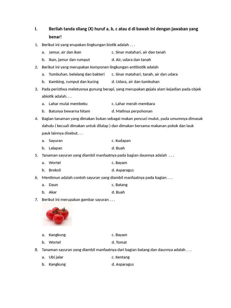 SOAL PLH KELAS 3 | PDF