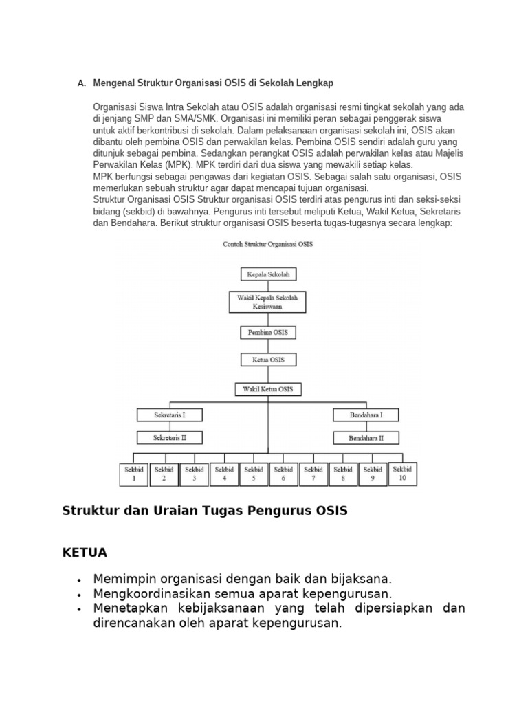 Struktur Dan Uraian Tugas Pengurus OSIS | PDF