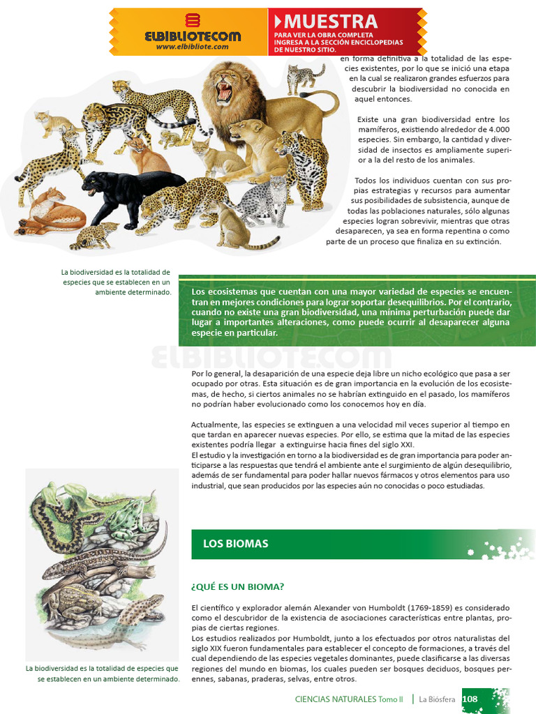 Biomas | PDF | Selva | Sabana