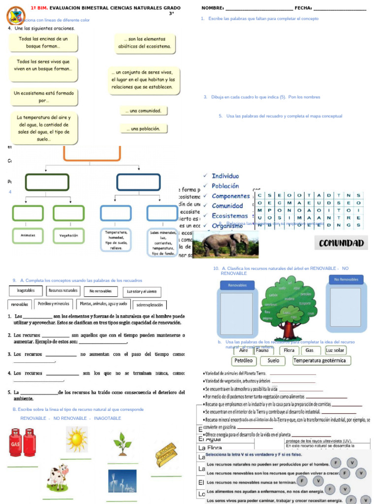 3º Eval. Bim. C. Naturales Tercer Grado | PDF