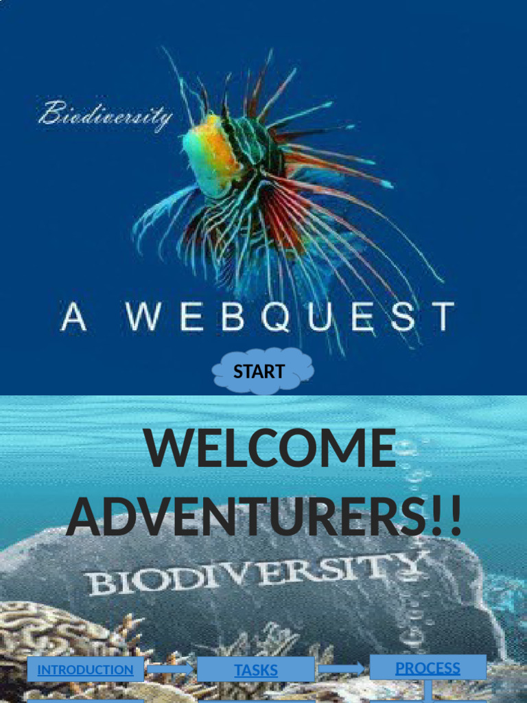 BIODIVERISTY Webquest | PDF | Biodiversity | Systems Ecology