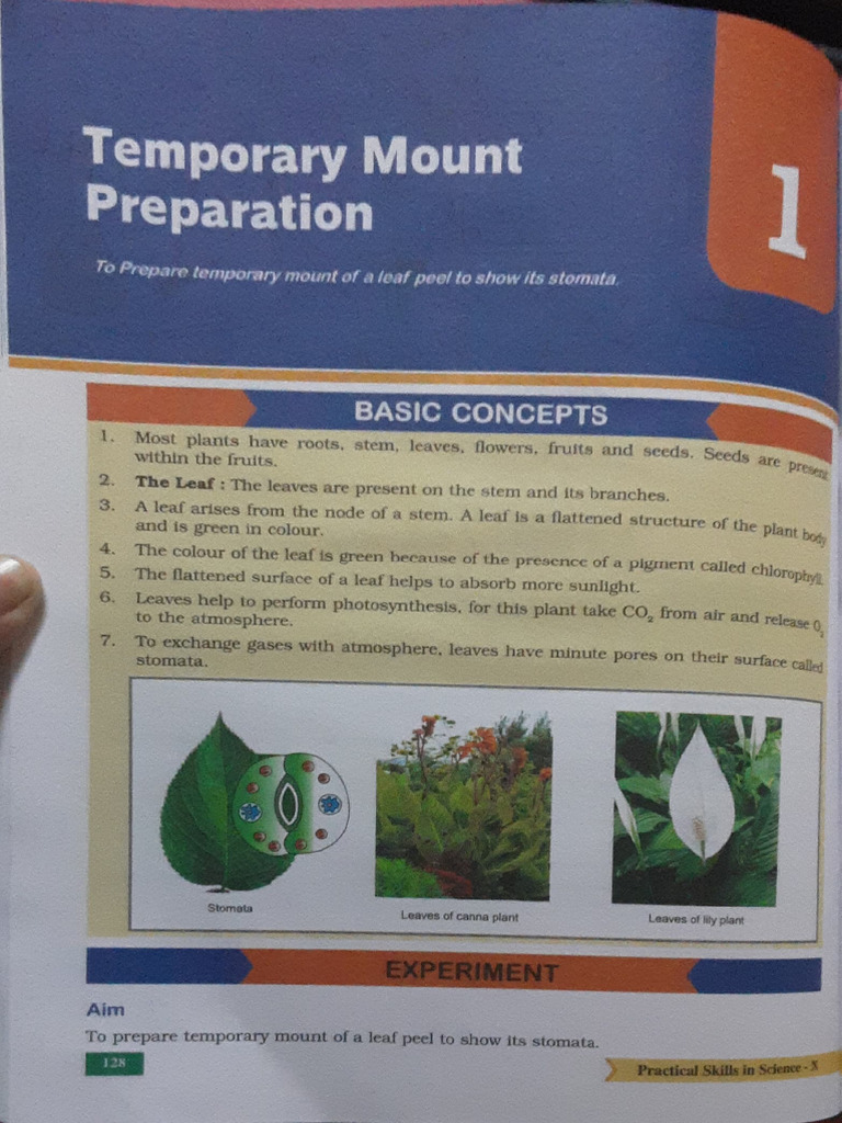 Biology Practicals | PDF