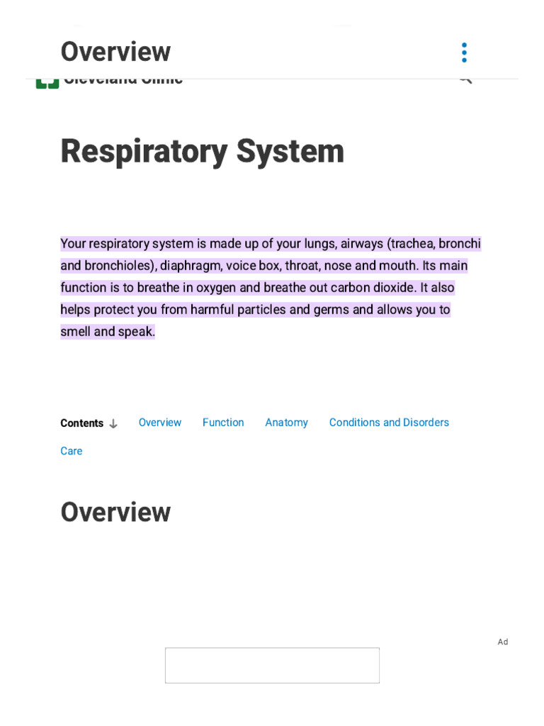 Respiratory System_ Organs, Facts, Anatomy & Function | PDF ...