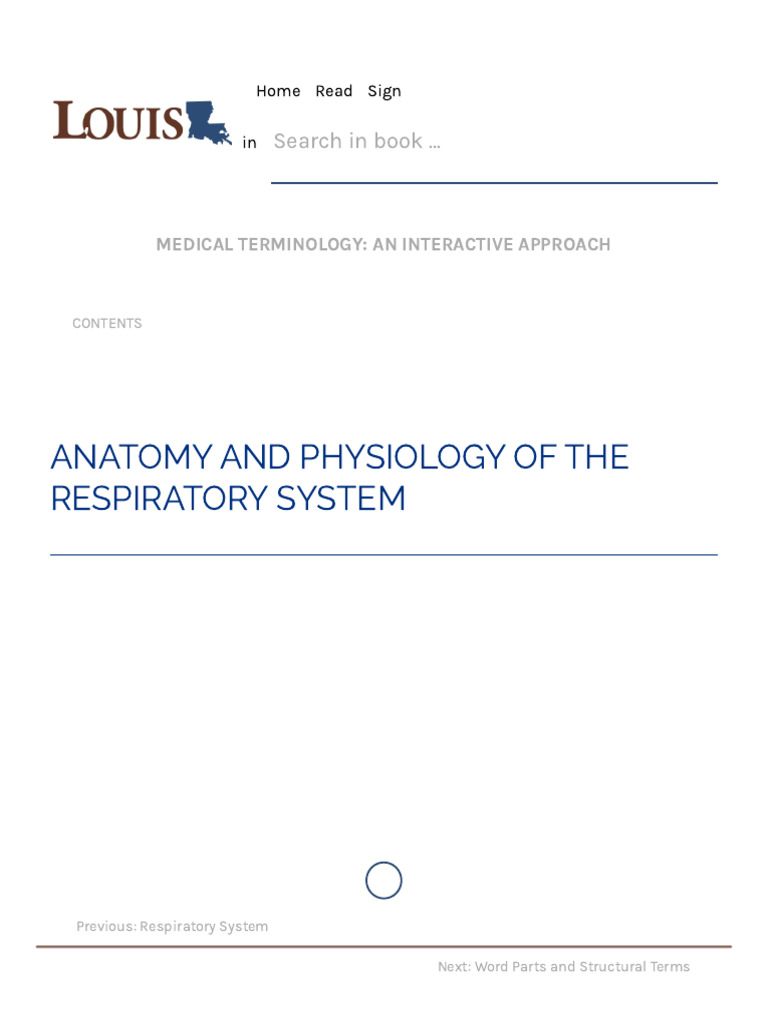 Anatomy and Physiology of The Respiratory System - Medical Terminology ...