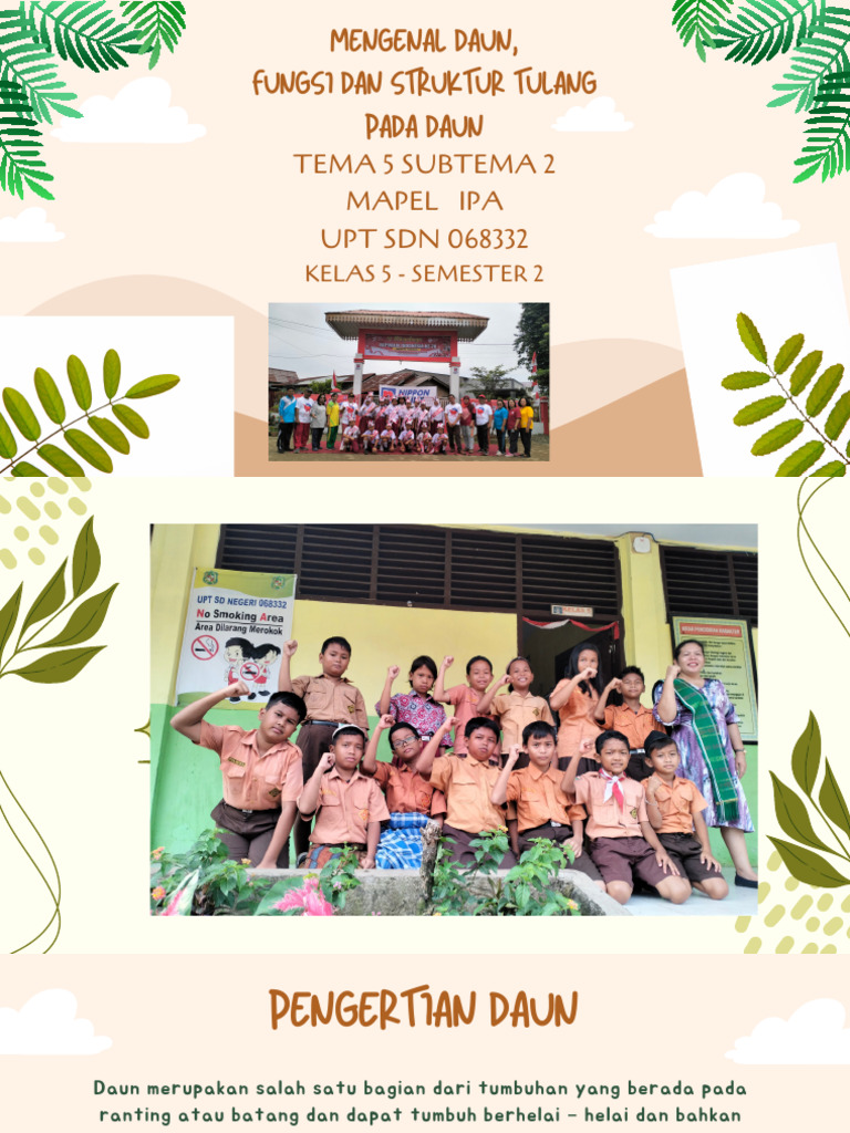 Fungsi dan Struktur Daun Tumbuhan | PDF